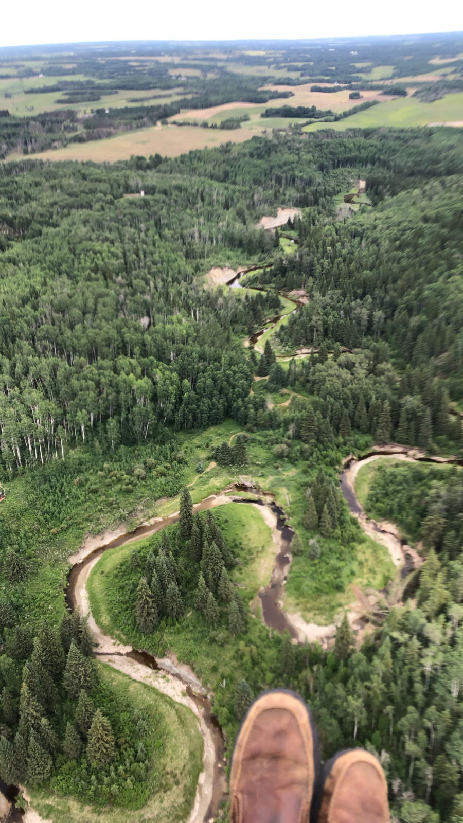 Drayton Valley takes flight - Drayton Valley and District Free Press